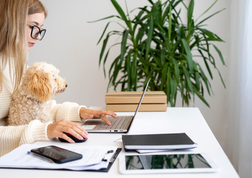 5 Powerful Reasons to Take a Professional Grooming Course – ABK Grooming