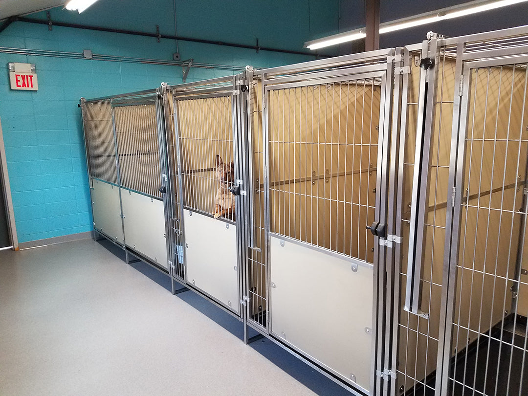 Professional Walk-in Kennel for Dogs for Professionals and Pet Stores ...