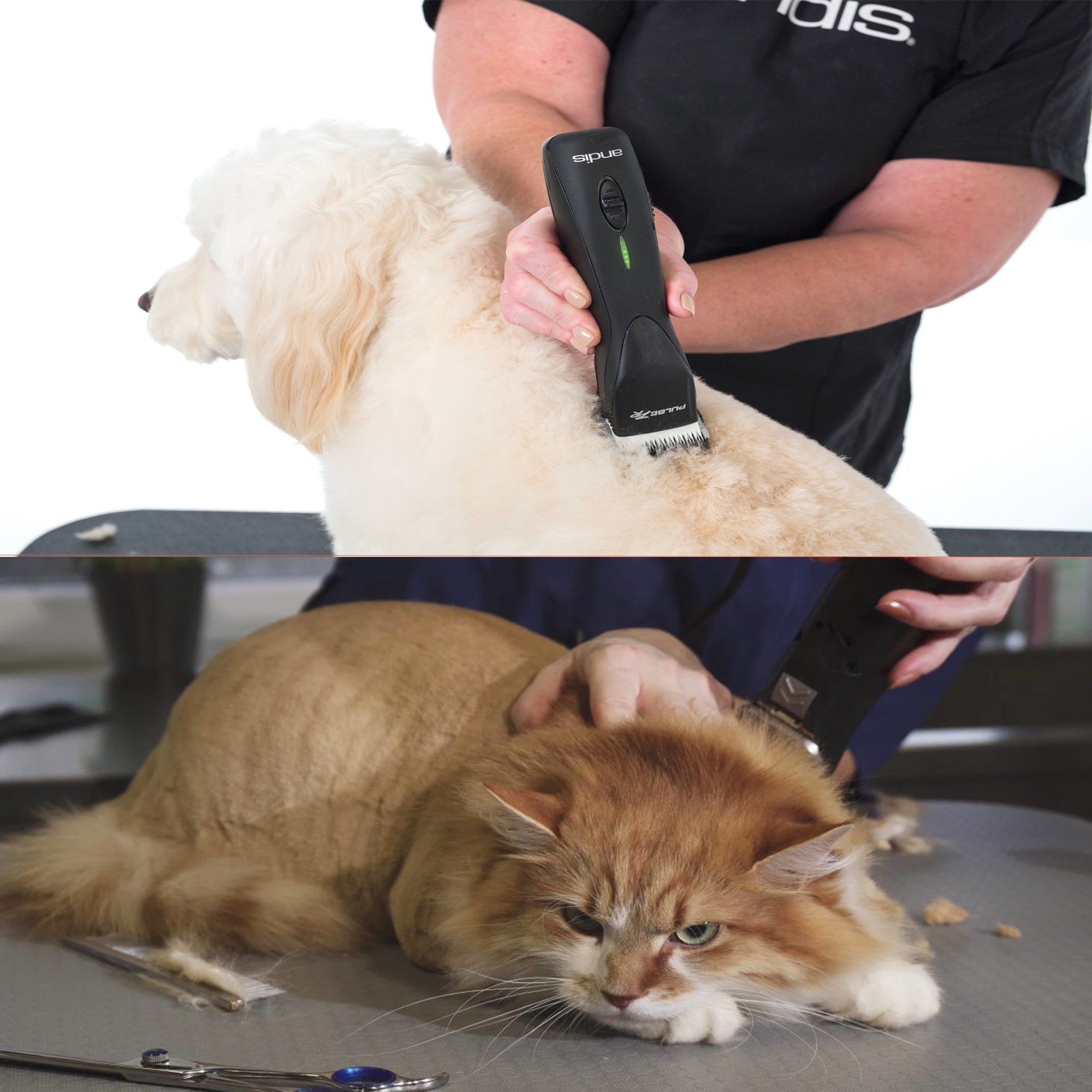 Why You Should Not Use a Dog Blade On Cat – ABK Grooming