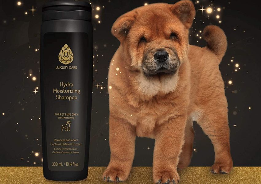 Hydra Luxury Care: Premium Grooming By Top Groomers – ABK Grooming