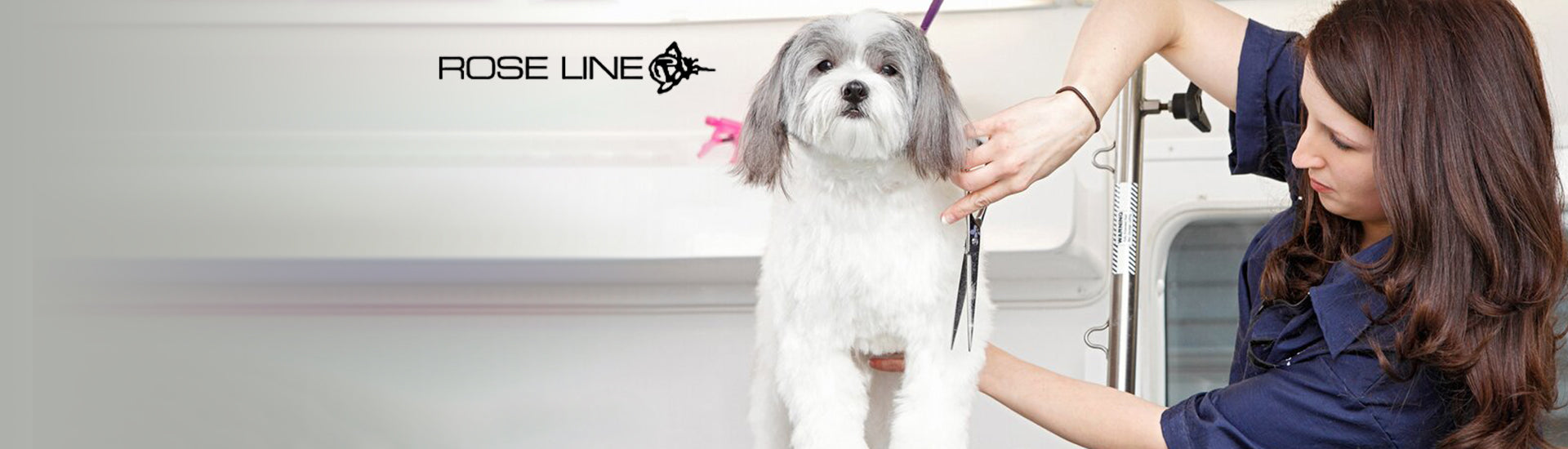 Buy Roseline Pet HairCut Scissors at the Lowest Prices from ABK – ABK ...