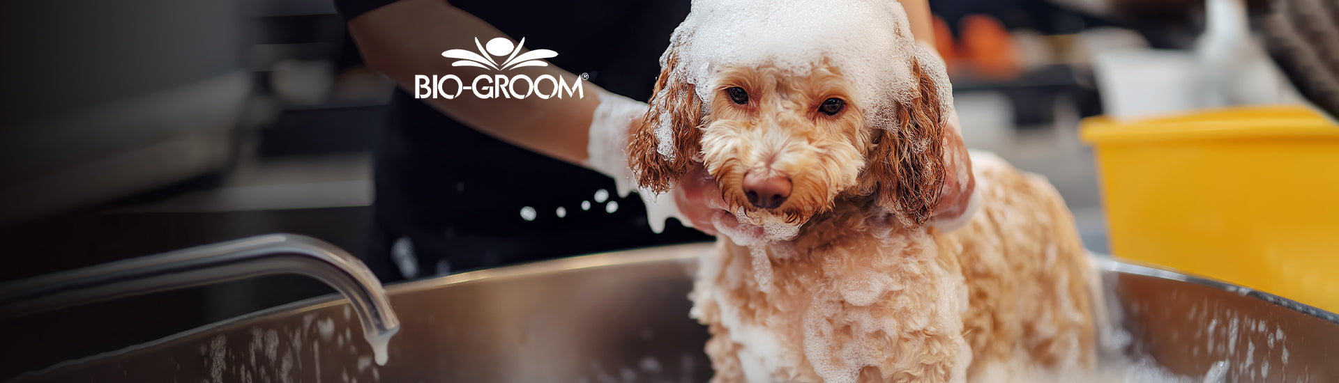 Bio-Groom Dog Shampoos, Conditioners & Grooming Products – ABK Grooming