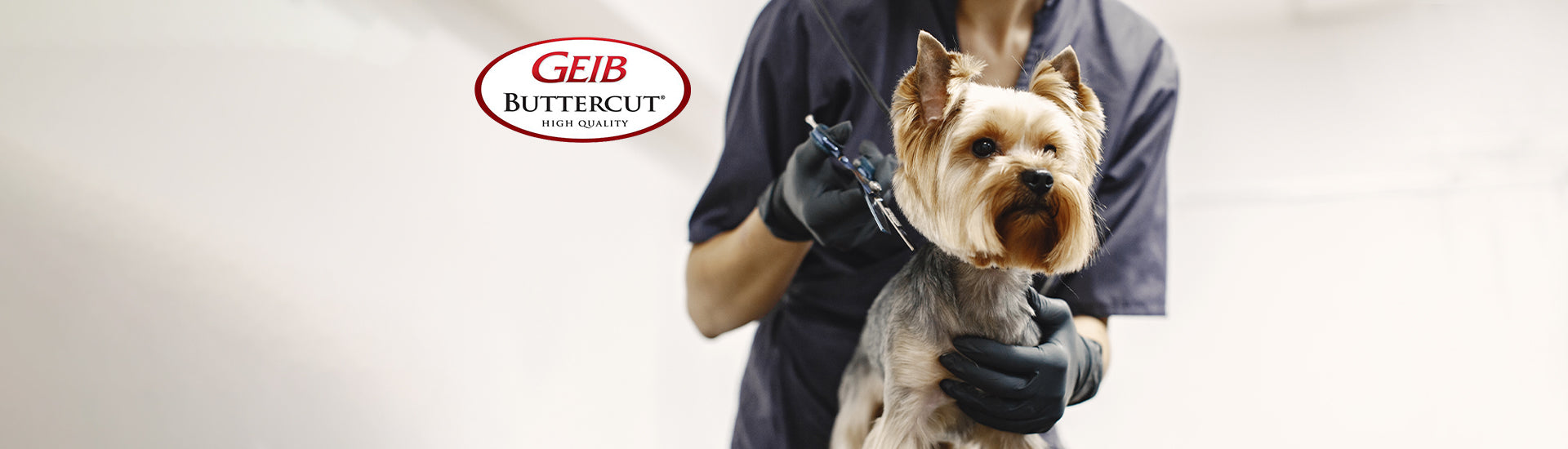 Geib USA – Premium Pet Grooming Shears & Tools | ABK Grooming