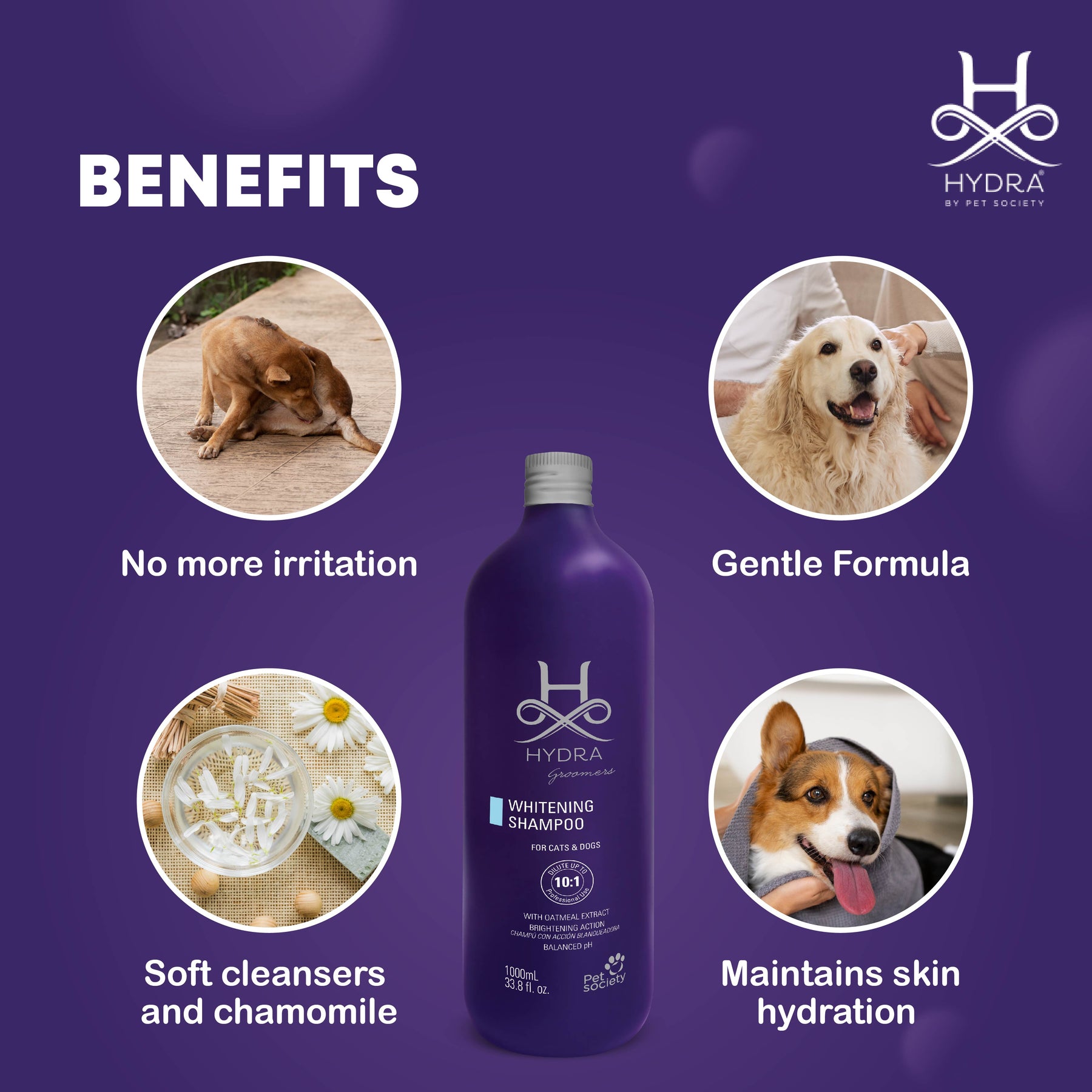 Hydra Extra Soft Facial Pet Shampoo – ABK grooming