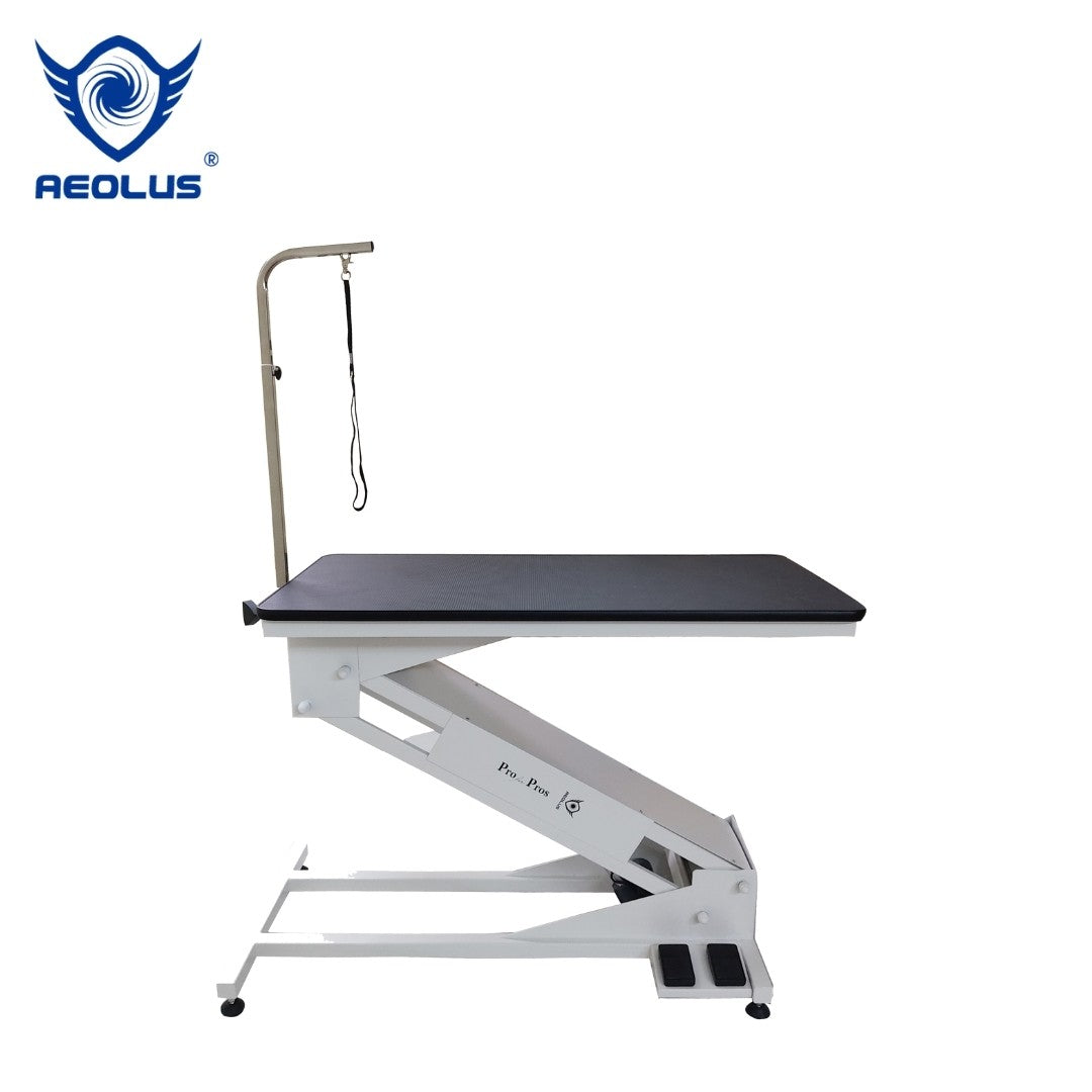 Aeolus Magna Big Z Table - Shop Now for Pet Grooming! – ABK Grooming