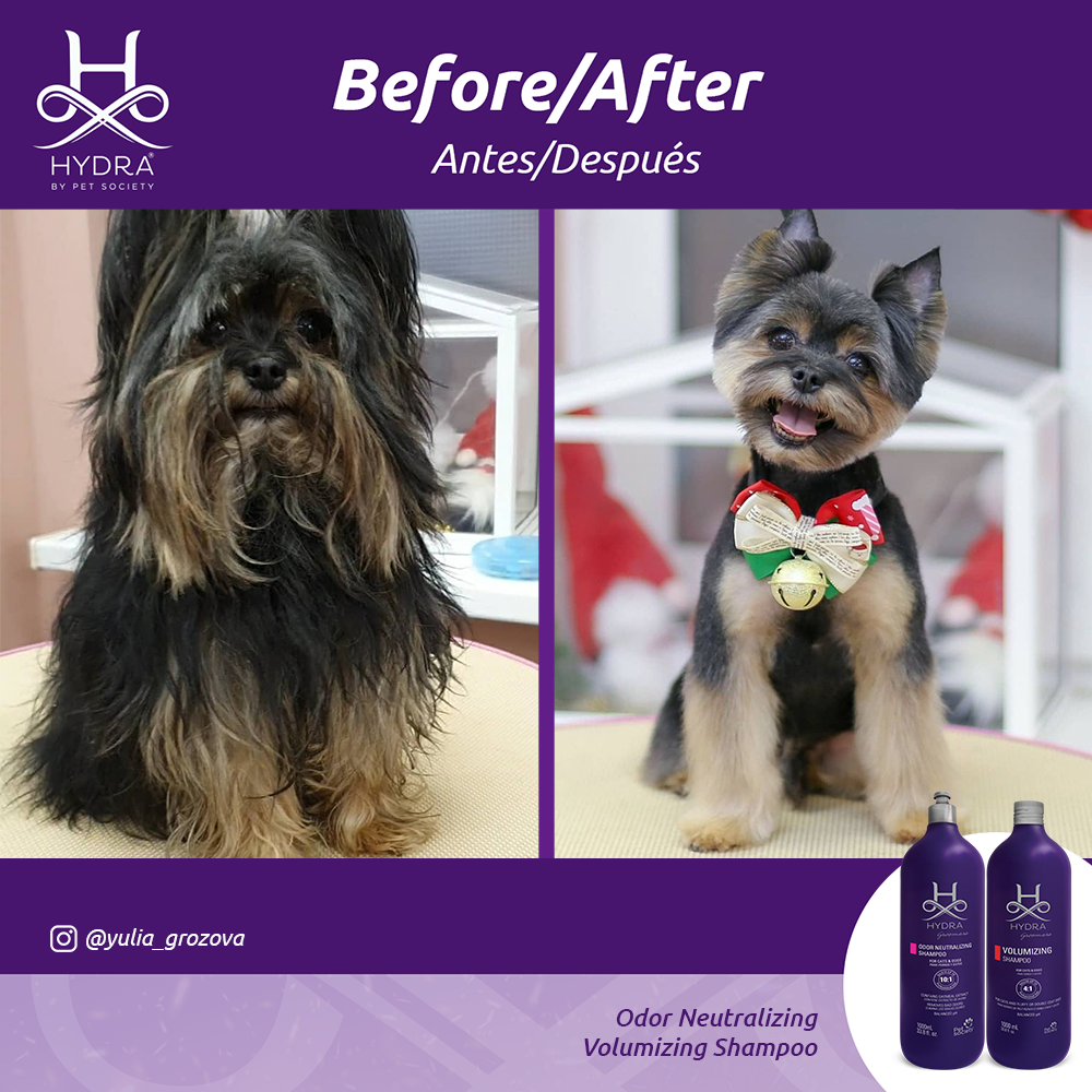 Hydra Professional voluminizing Shampoo For Pets, 5 liter – ABK grooming